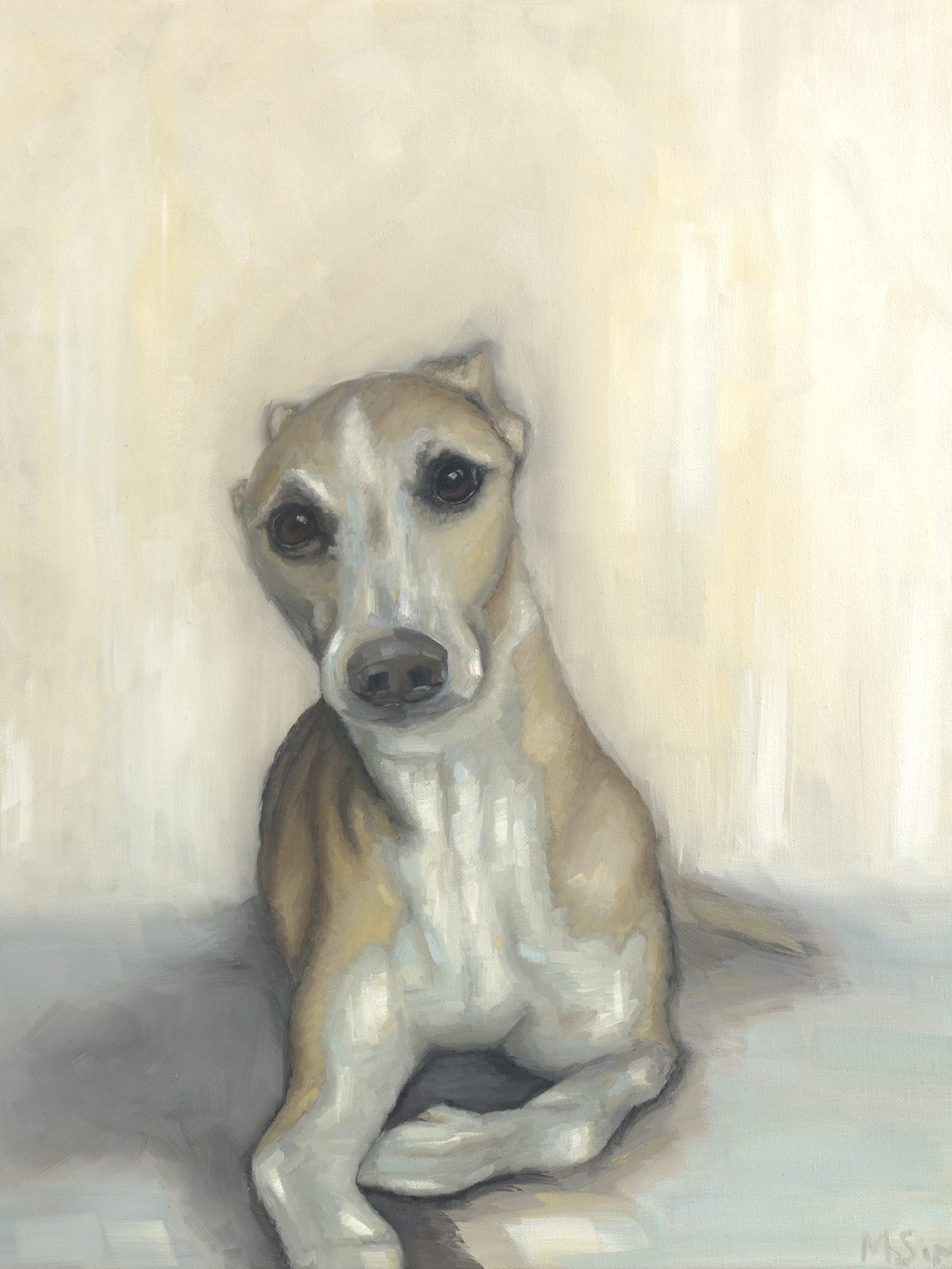 Whippet